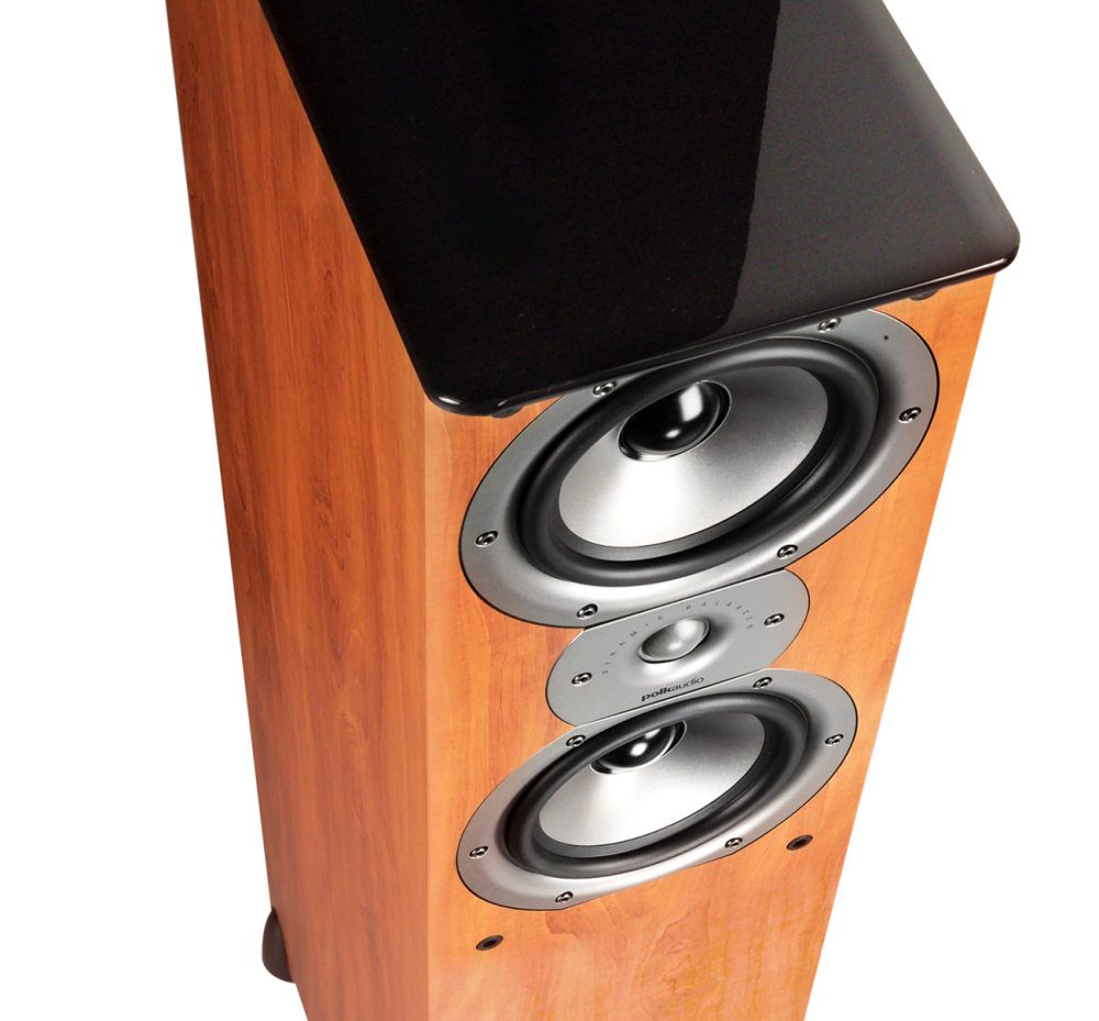 Polk Audio Tsi 300 Floorstanding (Par) | AVSpectrum
